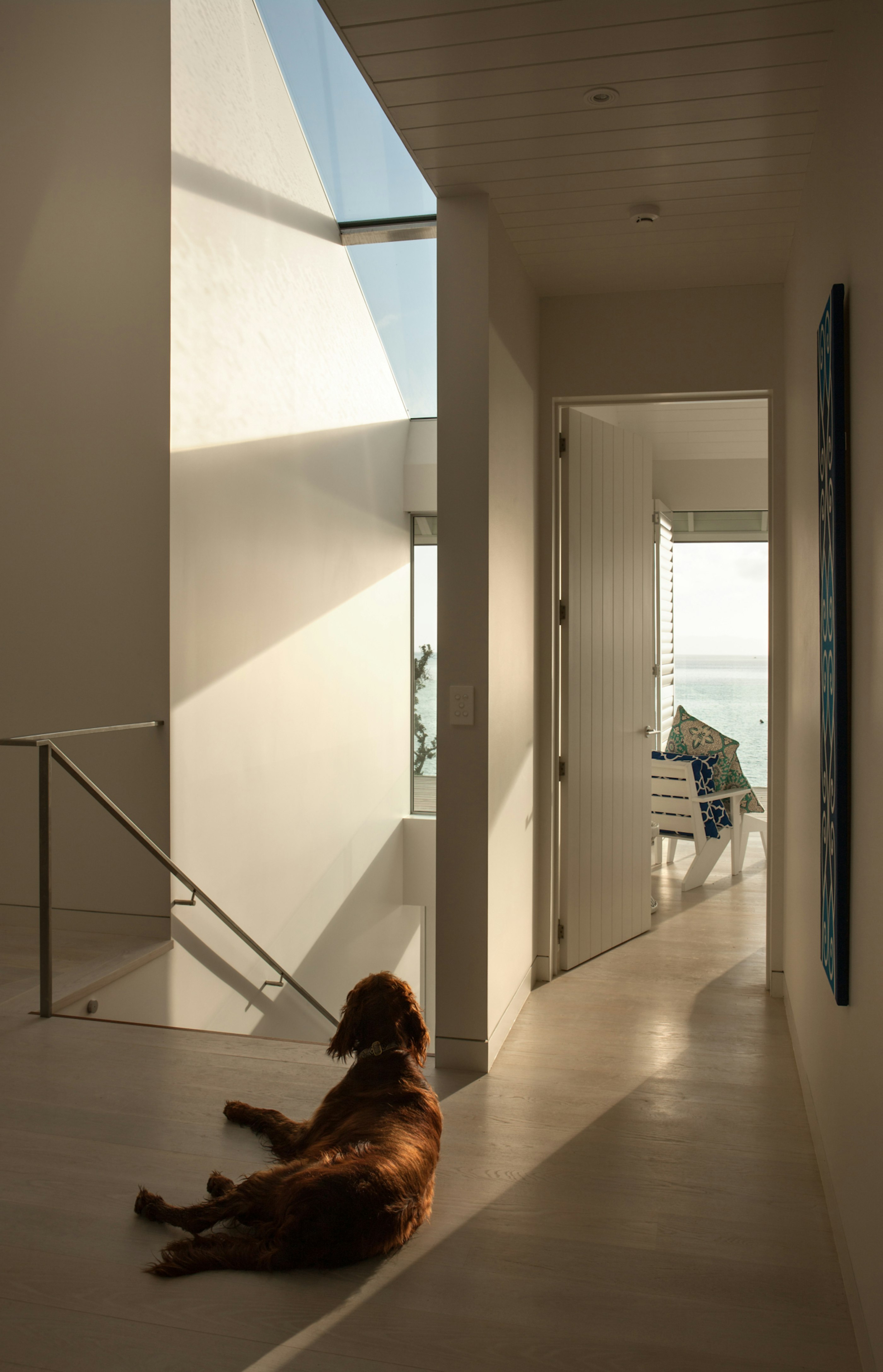 Kopua / Daniel Marshall Architects