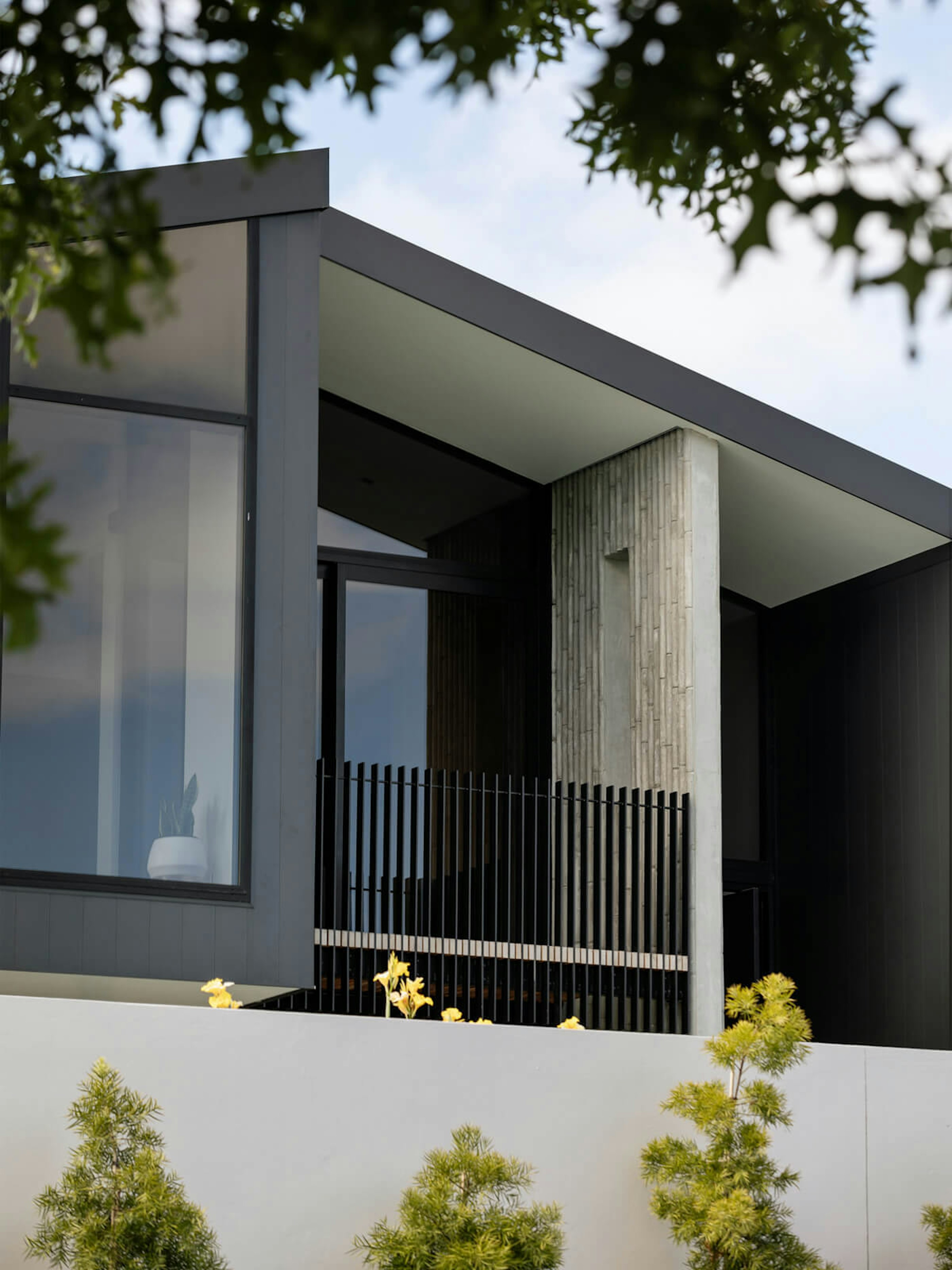 Lin House / Daniel Marshall Architects