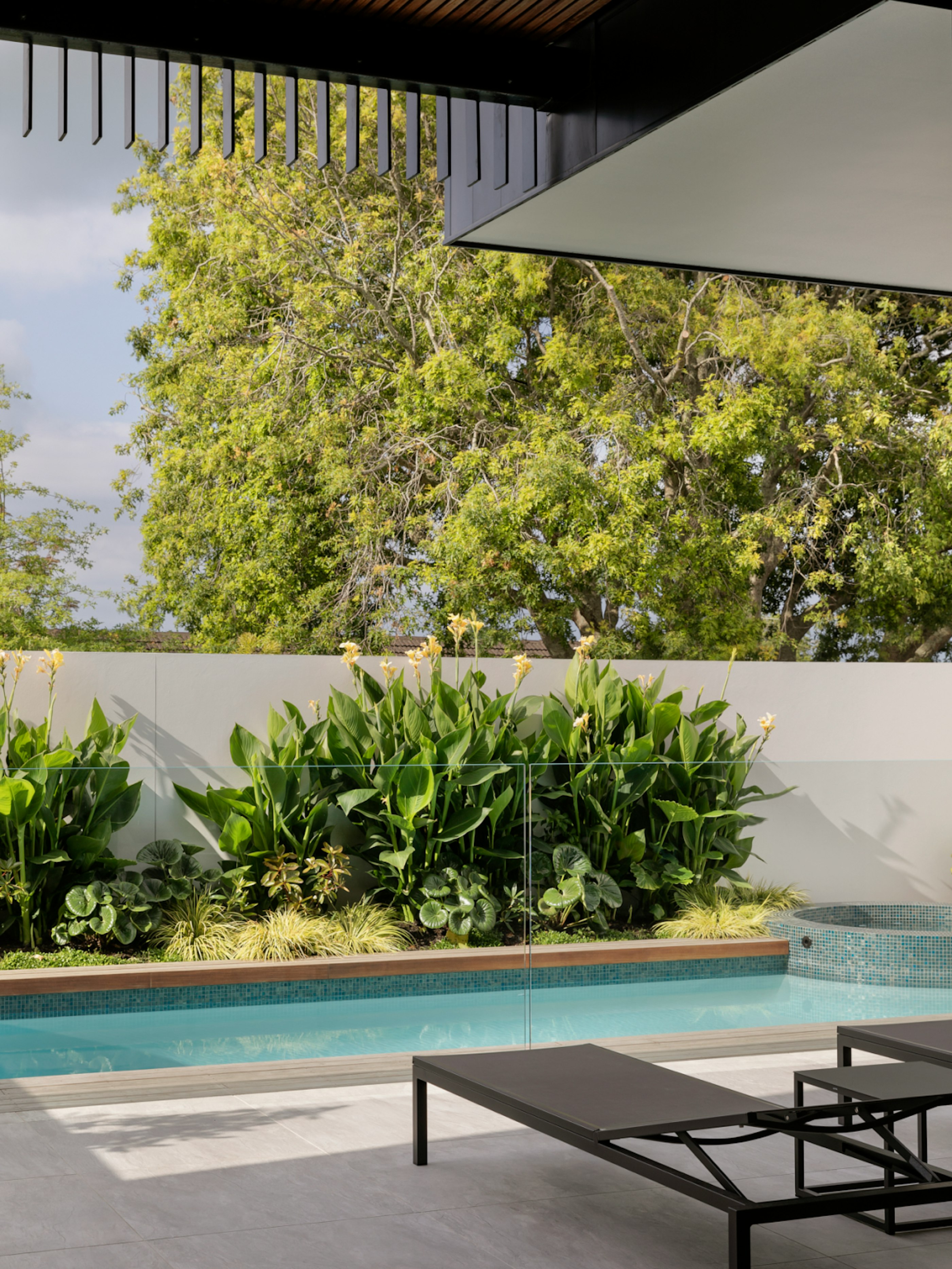 Lin House / Daniel Marshall Architects