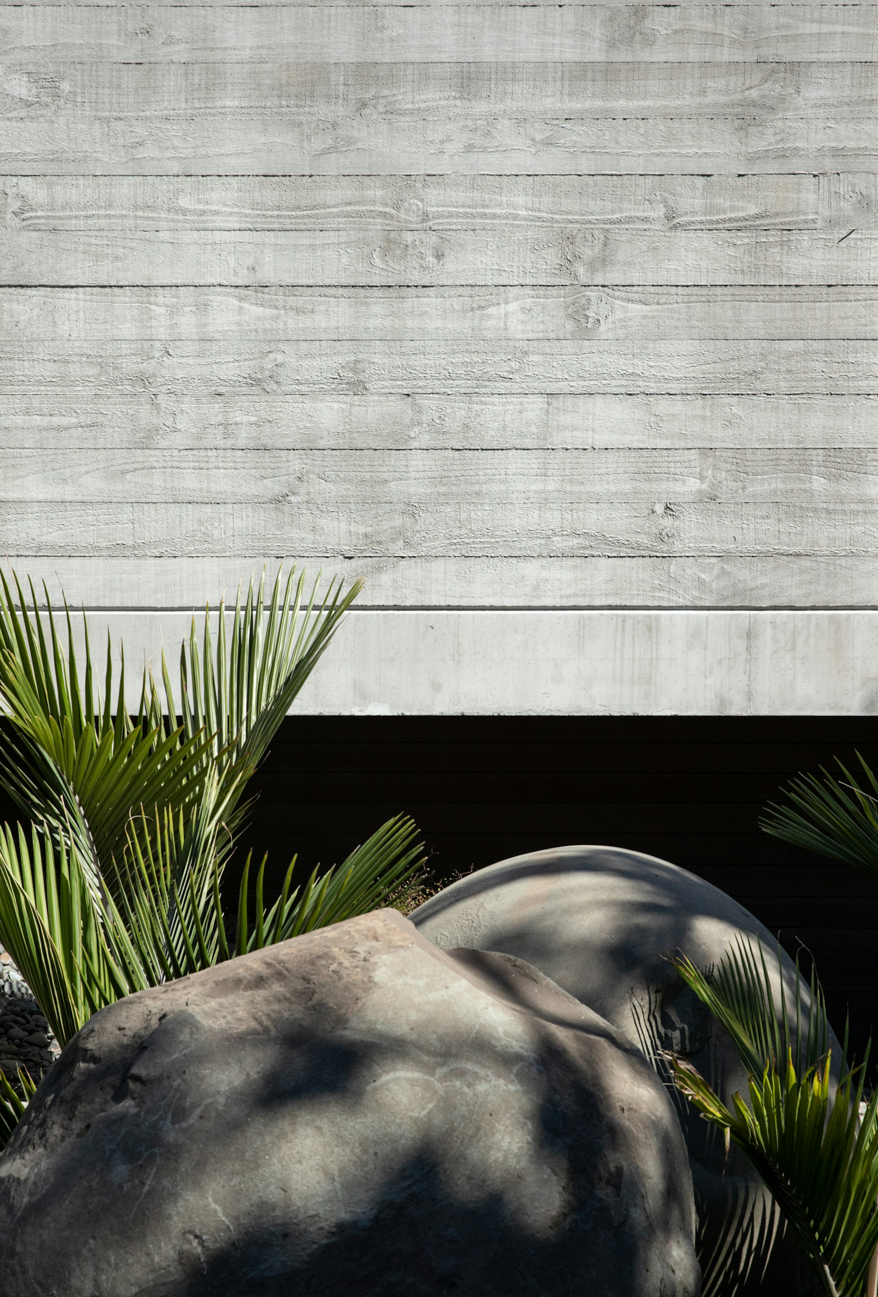 Upland Road / Daniel Marshall Architects